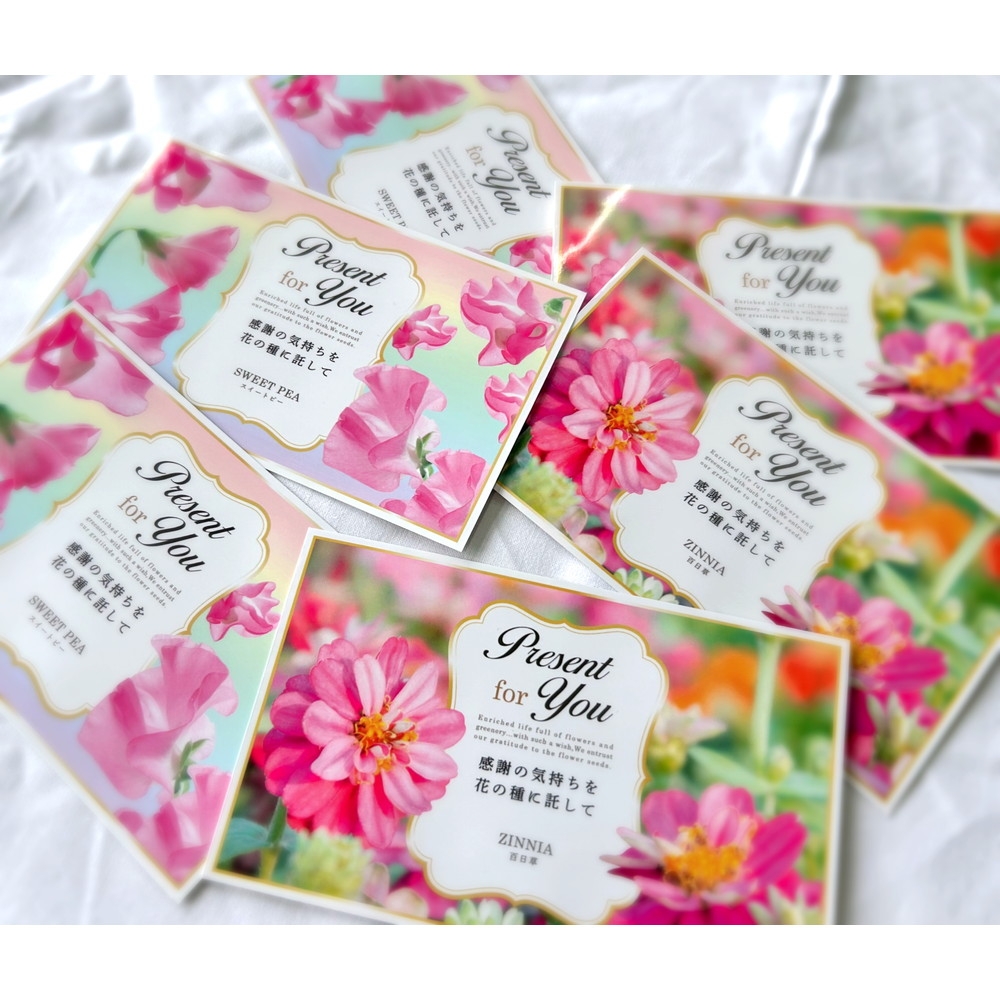 Present for You（A）3枚入 | Giftpad egift