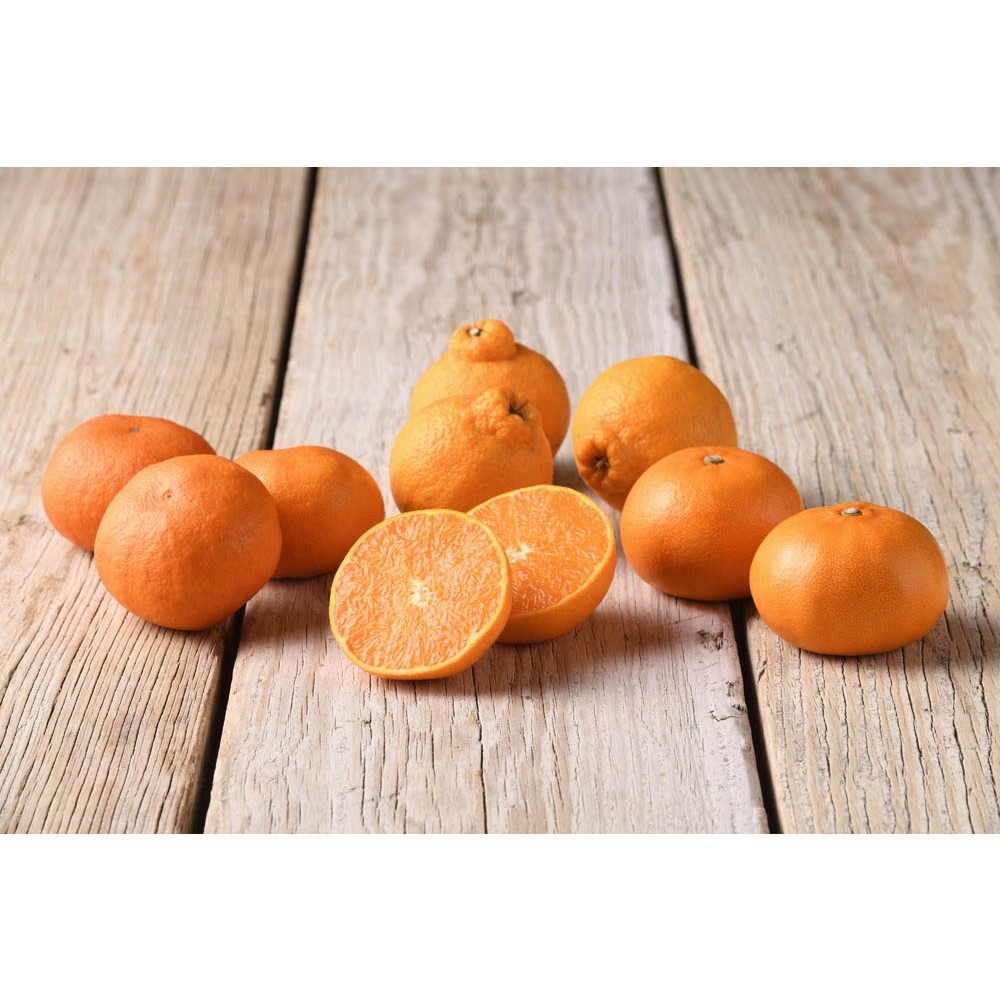 柑橘コフレ | Giftpad egift