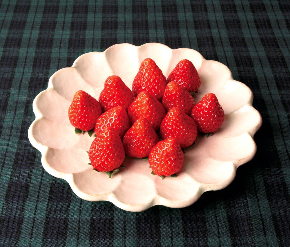 紅ほっぺいちご | Giftpad egift